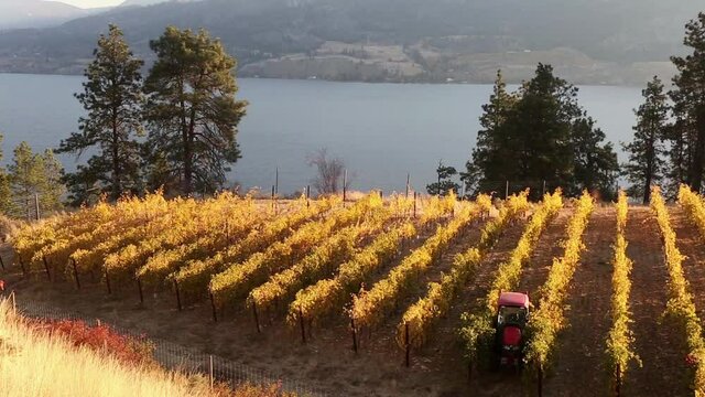 Penticton Fall Bilder – Durchsuchen 336 Archivfotos, Vektorgrafiken und ...