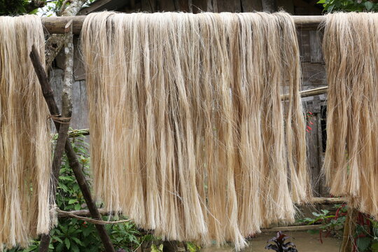 Abaka Images – Browse 6 Stock Photos, Vectors, and Video | Adobe Stock