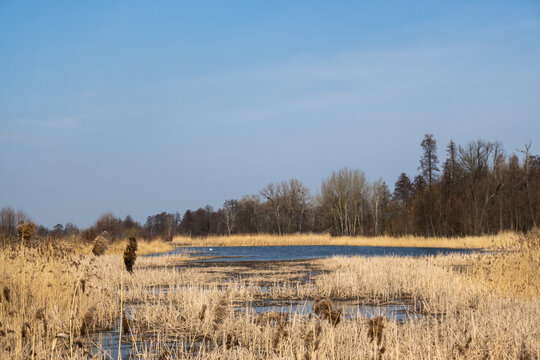 Inactive Images – Browse 9,897 Stock Photos, Vectors, and Video | Adobe ...