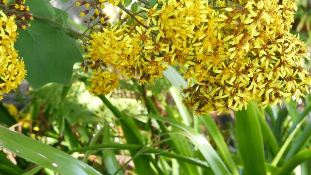 รูปภาพRoldana – เลือกดูภาพถ่ายสต็อก เวกเตอร์ และวิดีโอ89 | Adobe Stock