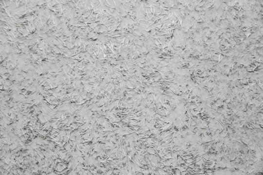 Spotted. Images – Browse 1,264,802 Stock Photos, Vectors, and Video ...