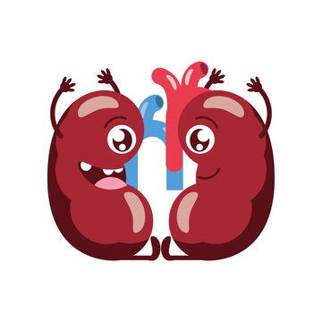 Funny Organs Bilder – Durchsuchen 12,741 Archivfotos, Vektorgrafiken ...