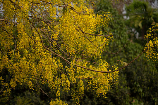 รูปภาพKonnapoo – เลือกดูภาพถ่ายสต็อก เวกเตอร์ และวิดีโอ71 | Adobe Stock