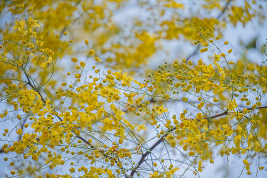 รูปภาพKonnapoo – เลือกดูภาพถ่ายสต็อก เวกเตอร์ และวิดีโอ71 | Adobe Stock