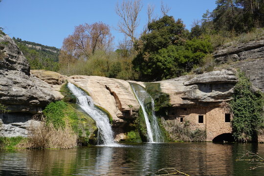 รูปภาพMoli – เลือกดูภาพถ่ายสต็อก เวกเตอร์ และวิดีโอ811 | Adobe Stock