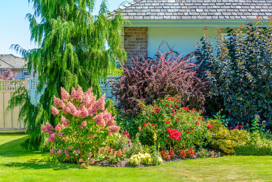 Free Landscaping Images – Browse 74,487 Free Stock Photos, Vectors, and ...