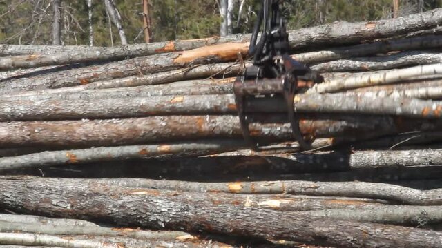 Cutover Images – Browse 130 Stock Photos, Vectors, and Video | Adobe Stock