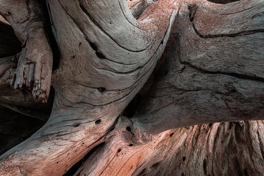 รูปภาพErozja – เลือกดูภาพถ่ายสต็อก เวกเตอร์ และวิดีโอ1,335 | Adobe Stock