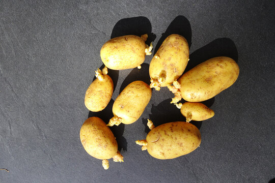 รูปภาพKeimend – เลือกดูภาพถ่ายสต็อก เวกเตอร์ และวิดีโอ117 | Adobe Stock