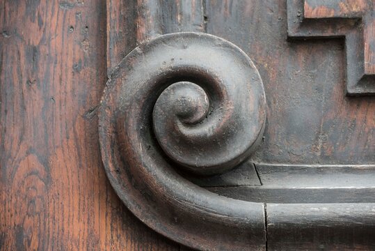 Imágenes de Biomorph: descubre bancos de fotos, ilustraciones, vectores ...