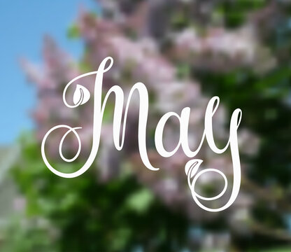 Hello May Tumblr
