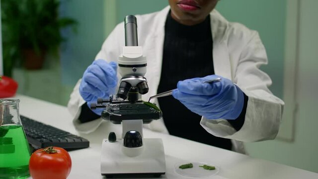 Botanist In Lab Images – Browse 3,033 Stock Photos, Vectors, and Video ...