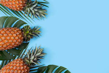 Pineapples Wallpaper Hd