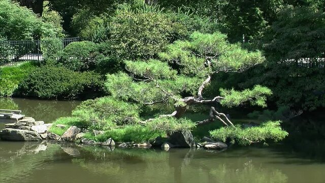 Niwaki Images – Browse 25,377 Stock Photos, Vectors, and Video | Adobe ...