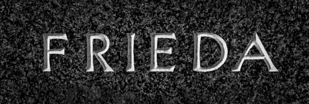 Frieda Images – Browse 89 Stock Photos, Vectors, and Video | Adobe Stock