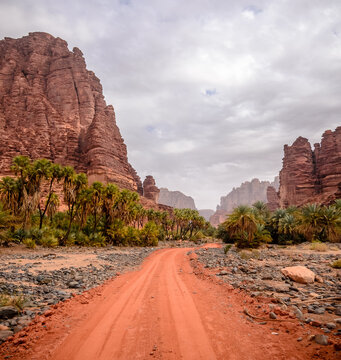 Tabuk Images – Browse 1,598 Stock Photos, Vectors, and Video | Adobe Stock