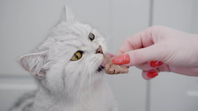 Cunilingus Images – Parcourir 515 le catalogue de photos, vecteurs et ...