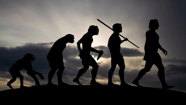 Evolution Of Man Images – Browse 881,843 Stock Photos, Vectors, and ...