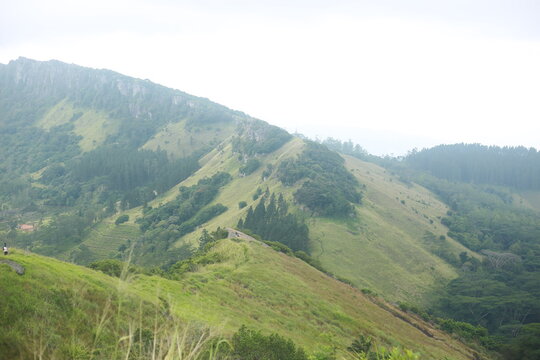 Hanthana Imagens – Procure 20 fotos, vetores e vídeos | Adobe Stock