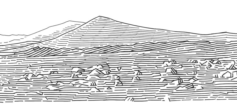 Desert Line Drawing Images – Browse 13,280 Stock Photos, Vectors, and ...