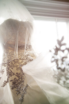 Hunh Images – Browse 13 Stock Photos, Vectors, and Video | Adobe Stock