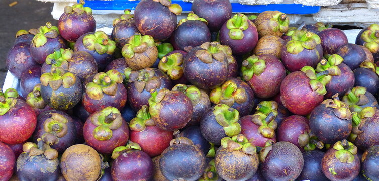 「Mangostane」の写真素材 | 258件の無料イラスト画像 | Adobe Stock