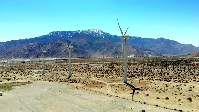 Jacintos Bilder – Durchsuchen 2,554 Archivfotos, Vektorgrafiken und ...