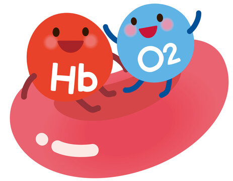 「ヘモグロビン イラスト」の写真素材 | 17,828件の無料イラスト画像 | Adobe Stock