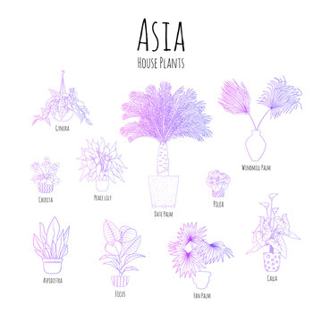 Chirita Images – Browse 52 Stock Photos, Vectors, and Video | Adobe Stock