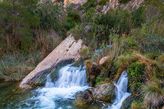 "Chera Images – Browse 269 Stock Photos, Vectors, and Video | Adobe Stock