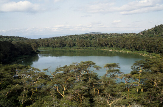 รูปภาพCaldeira – เลือกดูภาพถ่ายสต็อก เวกเตอร์ และวิดีโอ125,660 | Adobe ...