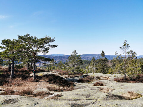 รูปภาพVestfold – เลือกดูภาพถ่ายสต็อก เวกเตอร์ และวิดีโอ1,531 | Adobe Stock