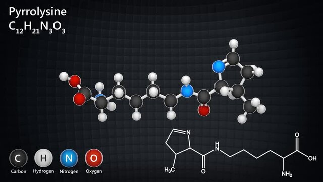 Pyrrolysine Images – Browse 60 Stock Photos, Vectors, and Video | Adobe ...