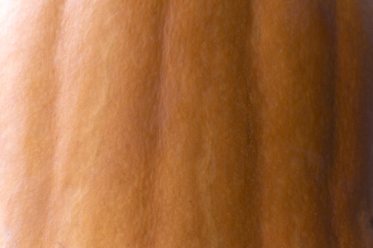 Imágenes de "Pumpkin Texture": descubre bancos de fotos, ilustraciones ...