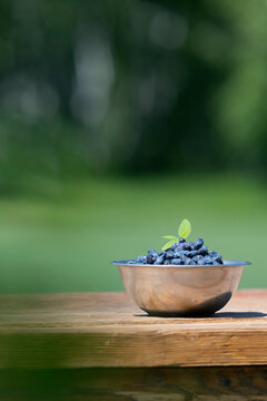 Kinnip Bilder – Durchsuchen 3,651 Archivfotos, Vektorgrafiken und ...