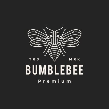 Bumble Bee Logo Images – Browse 33,632 Stock Photos, Vectors, and Video ...
