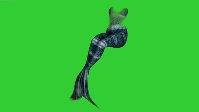 "Mermaid Tail" Images – Browse 3,792 Stock Photos, Vectors, and Video ...