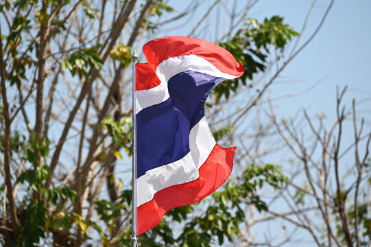 "Flag Of Thailand"-Bilder: Stock-Fotos & -Videos. | Adobe Stock