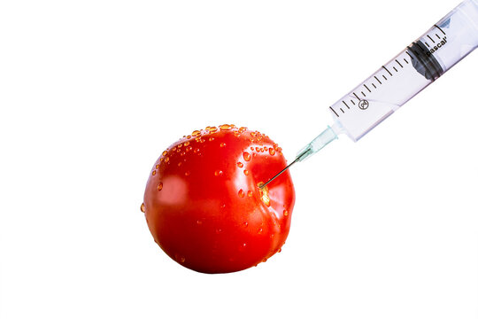 Genfood Bilder – Durchsuchen 5,021 Archivfotos, Vektorgrafiken und ...