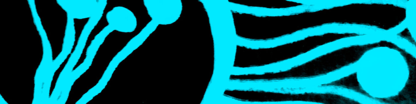 「Gouching」の画像 - 1,707 件の Stock 写真、ベクターおよびビデオ | Adobe Stock