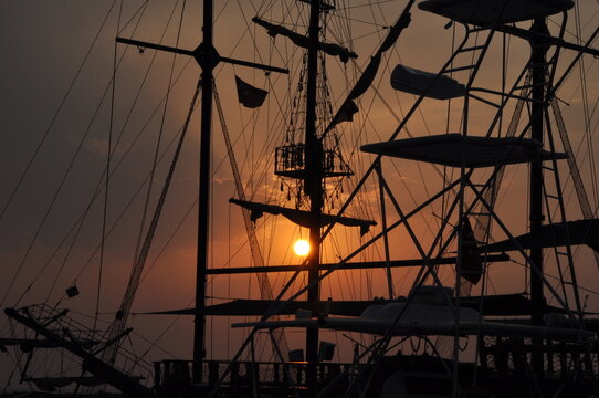 Tensity Bilder – Durchsuchen 3,301 Archivfotos, Vektorgrafiken und ...