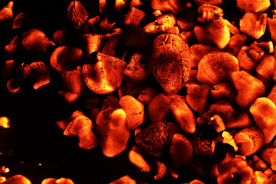 4,004 BEST "Fire Background" IMAGES, STOCK PHOTOS & VECTORS | Adobe Stock