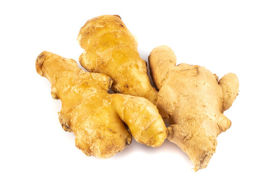 Drid Images – Browse 45 Stock Photos, Vectors, and Video | Adobe Stock