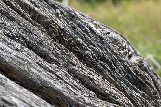 รูปภาพRugueux – เลือกดูภาพถ่ายสต็อก เวกเตอร์ และวิดีโอ860 | Adobe Stock