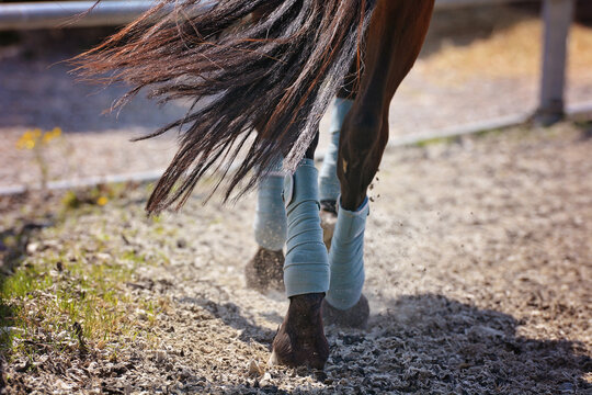 รูปภาพCloping – เลือกดูภาพถ่ายสต็อก เวกเตอร์ และวิดีโอ4,168 | Adobe Stock