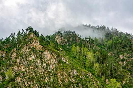 "Republic Of Altai" Images – Browse 522 Stock Photos, Vectors, and ...