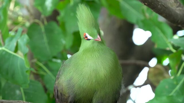 Lourie Images – Browse 312 Stock Photos, Vectors, and Video | Adobe Stock