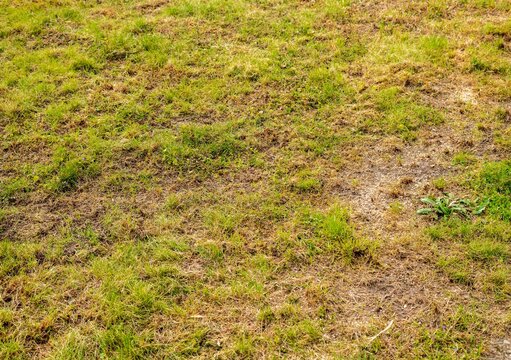 Bad Path Bilder – Durchsuchen 10,993 Archivfotos, Vektorgrafiken und ...