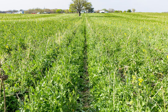 Crop Images – Browse 3,660,595 Stock Photos, Vectors, and Video | Adobe ...