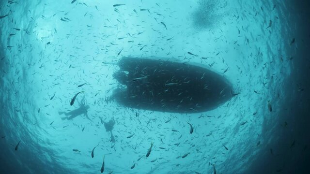 "Snell Window" Images – Browse 44 Stock Photos, Vectors, and Video ...